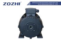 China HS Series Hollow Shaft Motor for High Pressure Washer Systems with Aluminum Housing for sale