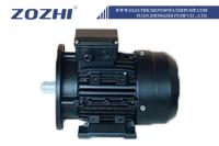China Electric Motor Water Pump with 500 GPH Flow Rate 25 Feet Max Head and 20m Head for Reliable Water Transfer for sale
