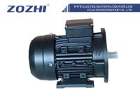 China 500 GPH Flow Rate 20m Head 7.5HP/5.5KW Output Electric Motor Pump for Industrial Applications for sale