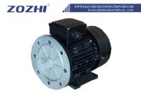 China Aluminum Motor Housing 3 Phase Induction Motor Stable and Durable Performance with 1.0 Service Factor for sale