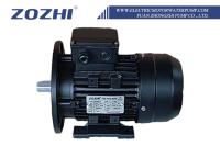 China 3 Phase Induction Motor 220V/380V/440V/550V/660V for Industrial Automation Needs for sale