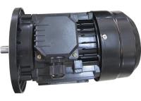 China MINGDONG MS Series 3 Phase Induction Motor , 2 Pole Electric Motor B3 B5 B14 High Efficiency for sale