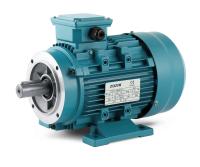 China High Performance Three Phase Induction Motor For Industrial Applications for sale