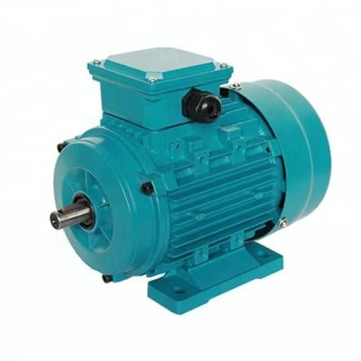 China Efficient And Reliable 3 Phase Induction Motor For -15C-40C Ambient Temperature for sale