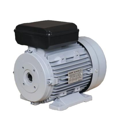 China 24mm Hollow Shaft Motor With 100mm Shaft Length For Demanding Environments for sale