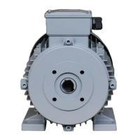 China ZOZHI 5.5kW 7.42HP 380V/440V Three-Phase IE3 High Efficiency Waterproof Flange Motor for Pressure Washer Applications for sale