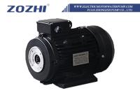 China 10hp Hollow Shaft Three Phase Ac Induction Motor for Italy High Pressure Plunger Pump for sale