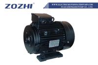 China 15kw 20HP Hollow Shaft Three Phase AC Induction High Pressure Washer Motor for sale
