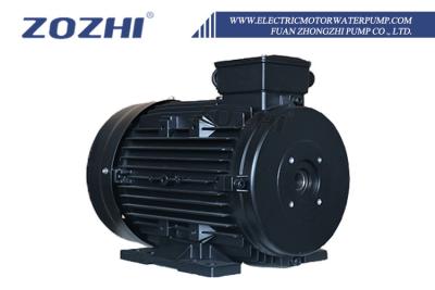 China Cast Iron Aluminium 100% Copper Wire Induction Single Three-phase Ac Hollow Shaft Motor For Italy Pump for sale