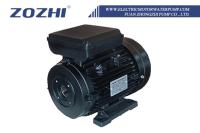 China 35Kg Load Capacity Hollow Shaft Motor for Heavy Duty Industrial Applications for sale