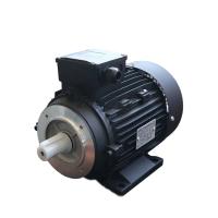 China 0.12KW-315KW 3 Phase Induction Motor IP23/IP44/IP54 for Heavy Duty Applications for sale
