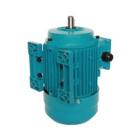 China High-Performance 3 Phase Induction Motor for Ambient Temperature -15C-40C Environments for sale