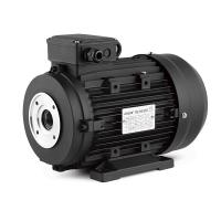 China Rated Frequency 50Hz/60Hz Hollow Shaft Induction Motor B3 24mm Shaft for sale