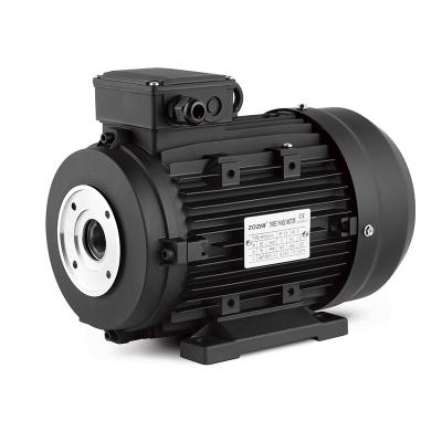 China Rated Frequency 50Hz/60Hz Hollow Shaft Induction Motor B3 24mm Shaft for sale