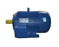 China Premium Efficiency 3 Phase Asynchronous Electric Motor With High Starting Torque for sale