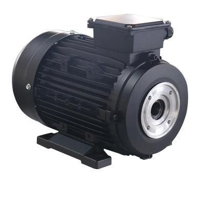 China Pressure Washer Hollow Shaft Motor Φ24mm Diameter -20C- 40C Ambient Temperature for sale