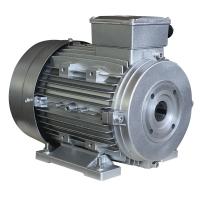 China 35Kg 5.5KW 1450rpm Hollow Shaft Motor With 24mm Diameter Customizable Color for sale