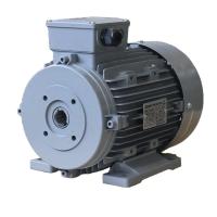 China F Rated 50Hz Hollow Shaft Motor 8.8A Current IC411 Cooling Method 24mm Hollow Shaft Diameter for sale