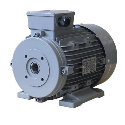 China F Rated 50Hz Hollow Shaft Motor 8.8A Current IC411 Cooling Method 24mm Hollow Shaft Diameter for sale