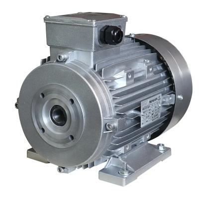 China ZOZHI Motor 7.5HP Efficiency Hollow Shaft Motor For Industrial Applications for sale
