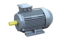 China Energy-Saving Waterproof High Efficiency 3 Phase Induction Motor with Strong Starting Torque and Fast Response for sale