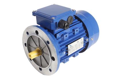 China Electric 3 Phase Induction Motor With NSK bearing and B5 Foot Mountiing for sale