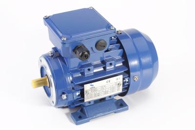 China Face Mount Three Phase Induction Motor with Hollow Shaft Frame 71 for sale