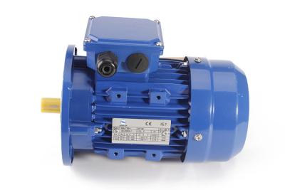 China Frame 63 Three Phase AC Induction Motor Meet The IE1 Efficiency Level for sale