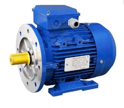 China AC Electric 3 Phase Induction Motor FUJIAN MINDONG Motor 400V 50HZ Stainless Shaft for sale