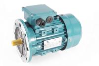China MS IE1 High Quality Aluminium Construction 3 Phase Induction Motor with NSK Bearing for sale