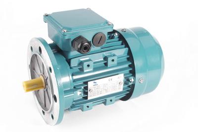 China MS IE1 High Quality Aluminium Construction 3 Phase Induction Motor with NSK Bearing for sale