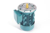 China Three - Phase Electrical AC Induction Motor With CE Certificate 0.06KW 4 Pole for sale