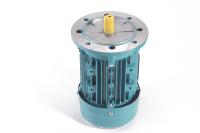 China MS562-4 0.09kW 0.12HP 230/400V 50Hz Electric AC Motor Welding Stainless Shaft for sale