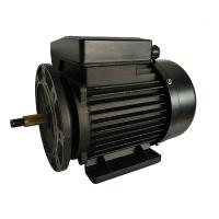 China 0.75HP IE1 Single Phase Electric Motor High Reliability Swimming Pool Pump for sale