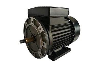 China 2 Pole Stable Performance Single Phase Capacitor Start Motor 220V 50Hz For Bath Pump for sale