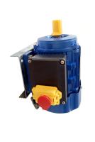 China 550w 1 Ph Induction Motors in Machine Tool With Stable And Reliable Performance for sale