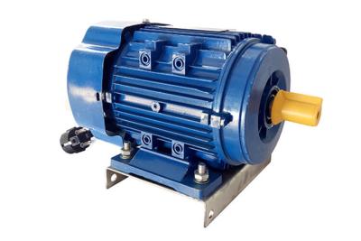 China MY ISO Standard AC Motor |Single Phase Induction Motor with F Class Insulation For Mills for sale