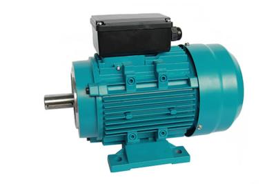 China 1 Ph 0.5HP 220v 50Hz Single Phase Induction Motor With IEC Standard For Driving Machine for sale
