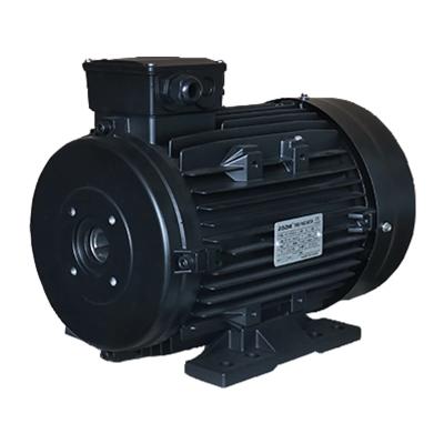 China 2.2kw 3kw 4kw 4.4kw 4.5kw 5kw 5.5kw 7.5kw 11kw 15kw 18.5kw Ms Series Alu Body Electric Motor Ac Motor Electrical Motor for sale