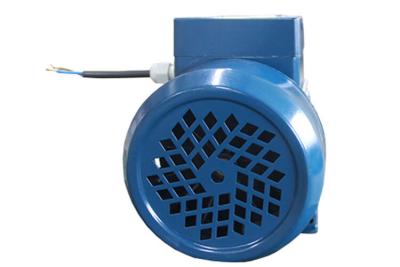 China Garden / Farm Irrigation Electric Motor Driven Water Pump 1000W 1 Inch QB80 Vortex for sale