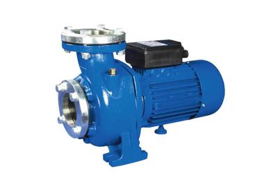 China High Flow Rates Centrifugal Water Pump 1 HP 0.75 KW For Agriculture / Swimming Pool for sale
