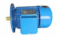 China 100% Copper Winding IEC Standard  Motors Y Series 0.55KW 0.75HP For Agricultural Machinery for sale