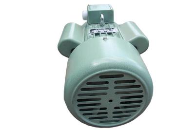 China IEC Standard  1 Phase Induction Motor YC112M1-2 3 KW 4 HP Light Weight for sale