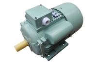 China 3.7 KW 5 HP Single Phase Induction Motor High Starting Torque For Packing Industry for sale