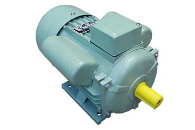 China 3000 RPM Single Phase Induction Motor Steady Running For Water Pumps for sale