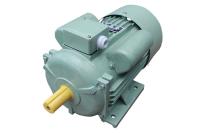 China Compact Dimension Single Phase Electric Motor 3KW 4HP YC132SA-4 for sale