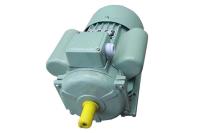 China Squirrel Cage Single Phase Induction Motor , Single Phase Asynchronous Motor For Machine Tools for sale