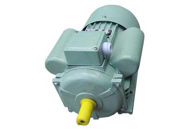 China Squirrel Cage Single Phase Induction Motor , Single Phase Asynchronous Motor For Machine Tools for sale
