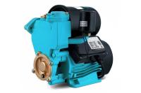China Energy Saving Automatic Water Pump 0.55 KW 0.75 HP High Flow Rate ZZHm-550A for sale