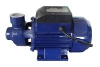 China 0.37 KW 0.5 HP Clean Water Pump 220 V 33M Head Max Easy Operation for sale